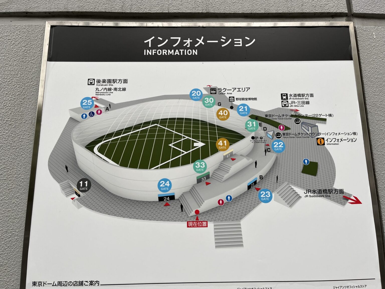 東京ドーム 外野指定席 ビジター応援席 違い